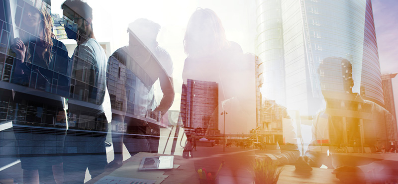 Corporate Law and Commercial Litigation Legal Guide