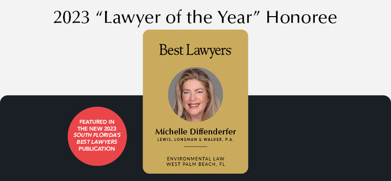 "Lawyer of the Year" Michelle Diffenderfer
