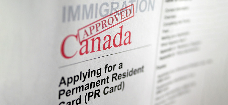 Study to PR: How International Students Shape Immigration